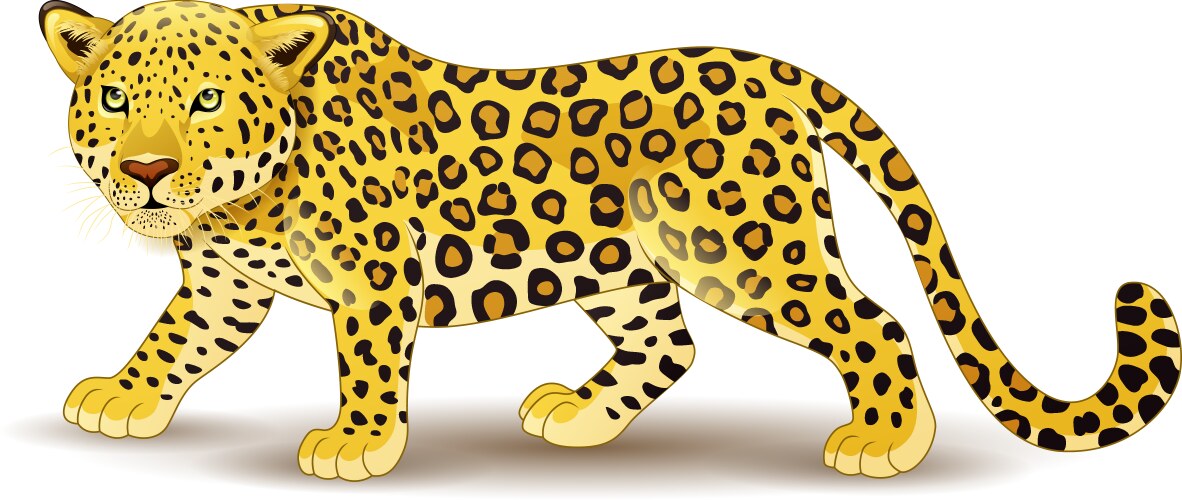 Leopard Cartoon Vector Images (over 13,000)