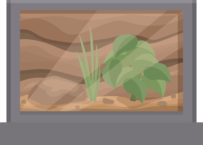 Empty terrarium with substrate and branches Vector Image