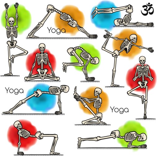 Skeleton practicing yoga Royalty Free Vector Image