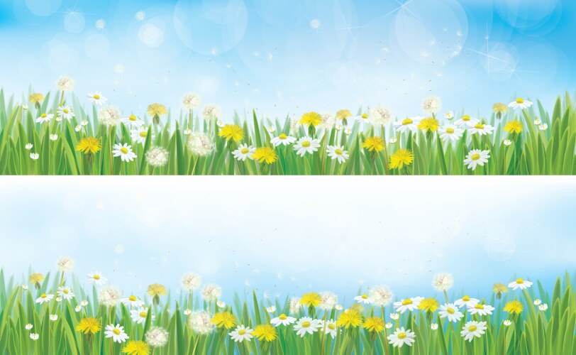 Spring Flowers Border Vector Images (over 79,000)