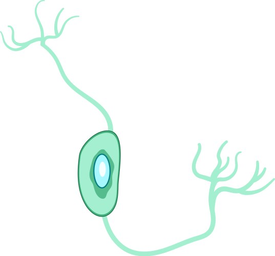 Cell neurons cartoon Royalty Free Vector Image