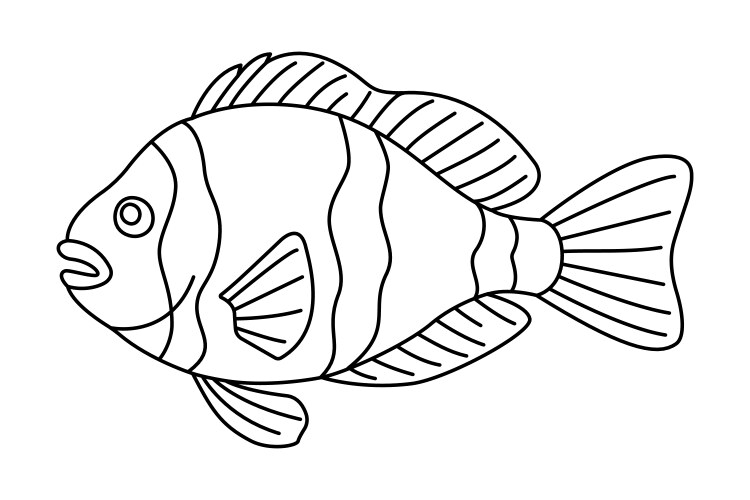 Tropical fish hand drawn line art coloring page Vector Image
