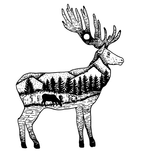 Elk Outline Vector Images (over 4,000)