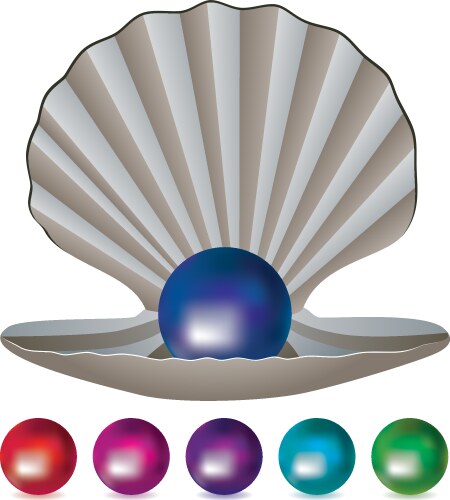 Realistic beautiful natural open sea pearl shell Vector Image