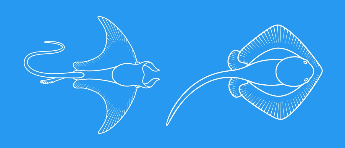 Ocean Stingray Vector Images (over 4,900)