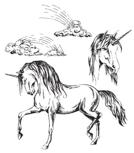 Unicorn Drawing Vector Images (over 21,000)