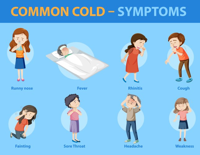 Medical infographic cold symptoms Royalty Free Vector Image