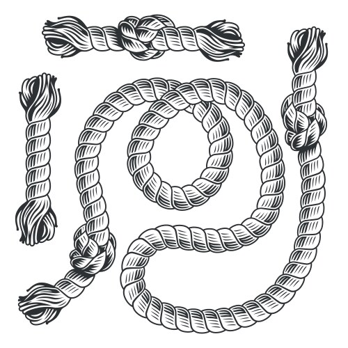 Rope Knot Vector Images (over 14,000)