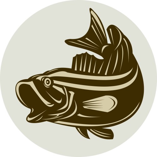 Bass Vector Images (over 87,000)