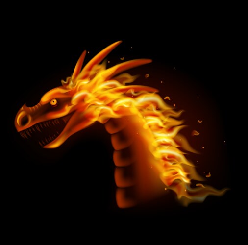 Fire dragon wings Royalty Free Vector Image - VectorStock