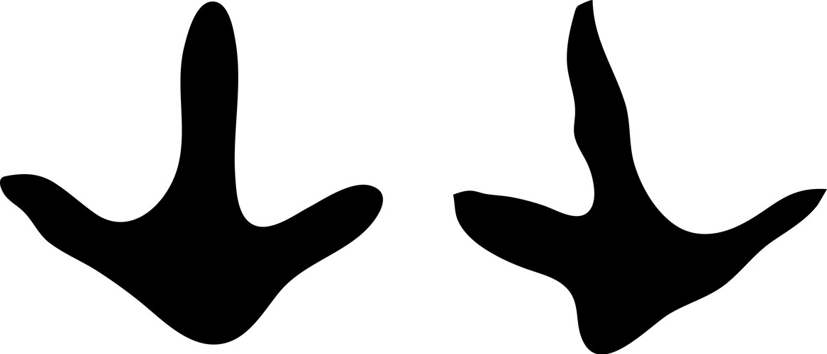 Animal footprint seamless pattern Royalty Free Vector Image