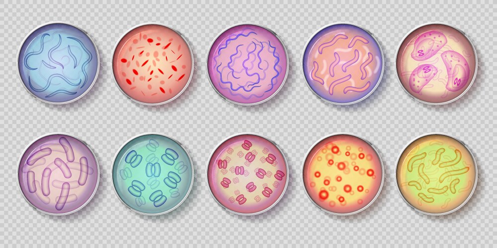 Cell Culture Vector Images (over 2,900)