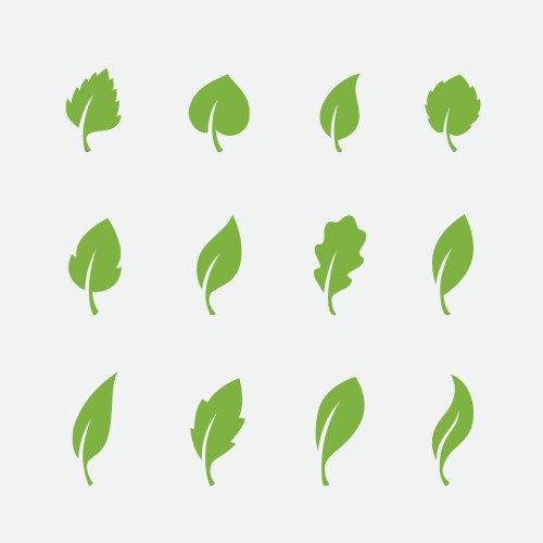 Collection of green leaf icons nature symbols Vector Image