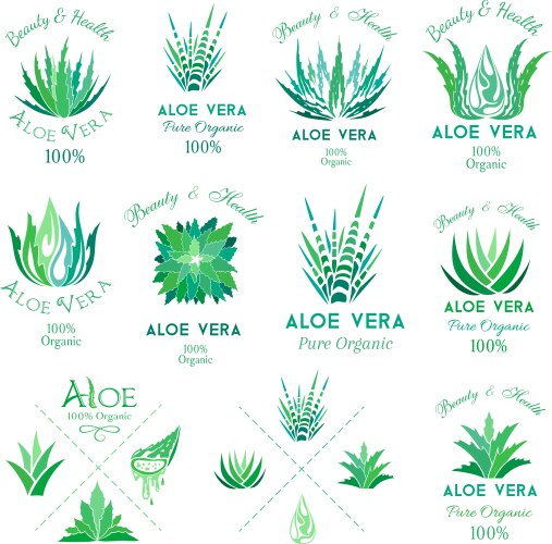 Aloe Vera Vector Images (over 7,400)