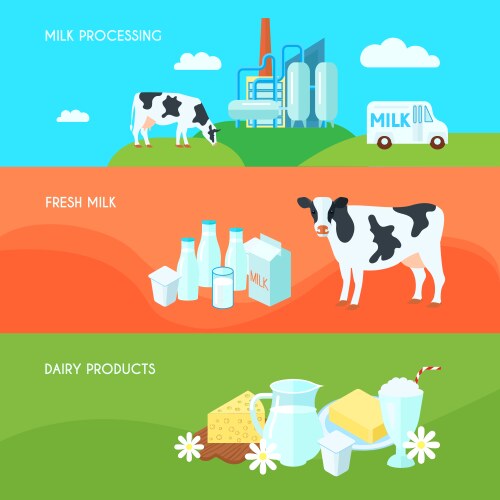 Milk dairy products infographic layout poster Vector Image