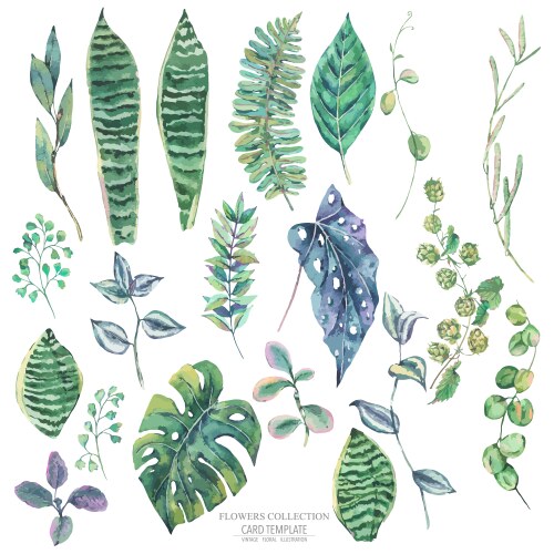 Greenery Vector Images (over 78,000)