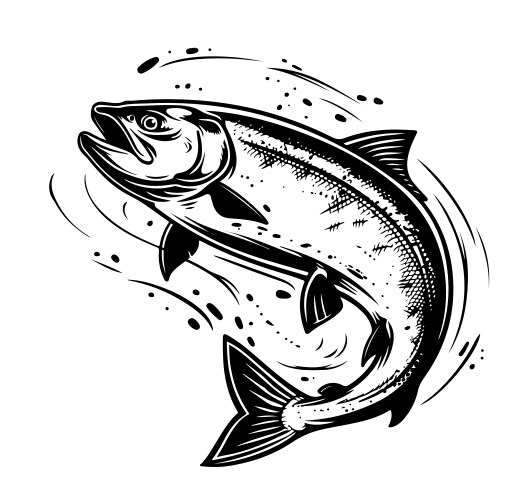 Salmon Vector Images (over 65,000)
