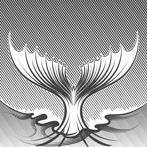 Tail Vector Images (over 210,000)