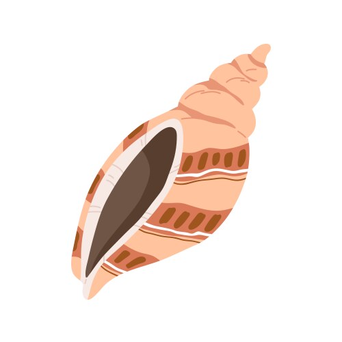 Open Seashell Vector Images (over 1,400)