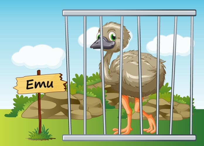 Cartoon Emu Vector Images (over 1,200)
