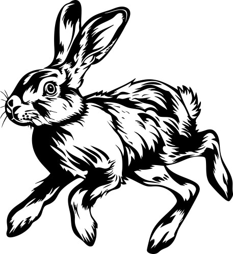 Run Texture Vector Images (over 7,000)