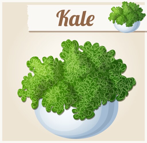 Kale Vector Images (over 3,000)