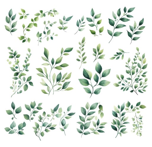 Greenery Vector Images (over 78,000)