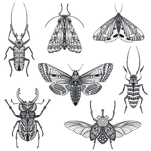 Line Drawing Insects Vector Images (over 23,000)