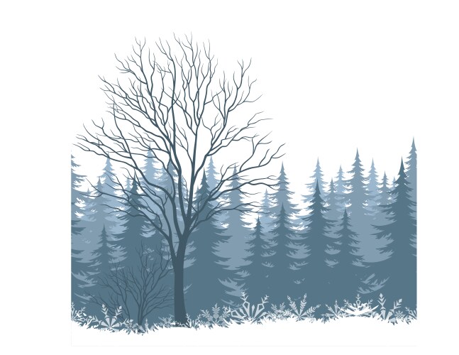 Christmas snow landscape snowy forest winter Vector Image