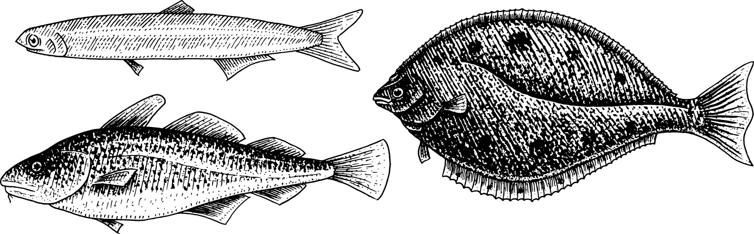 River Sketch Water Vector Images (over 5,700)