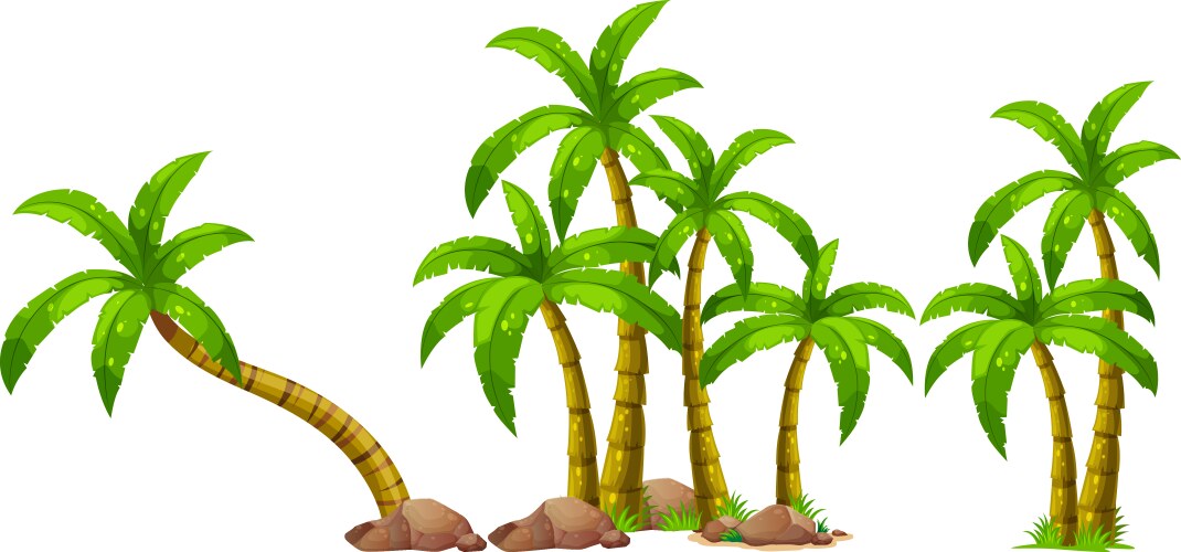 Palm tree Vector Images & Graphics for Commercial Use | VectorStock