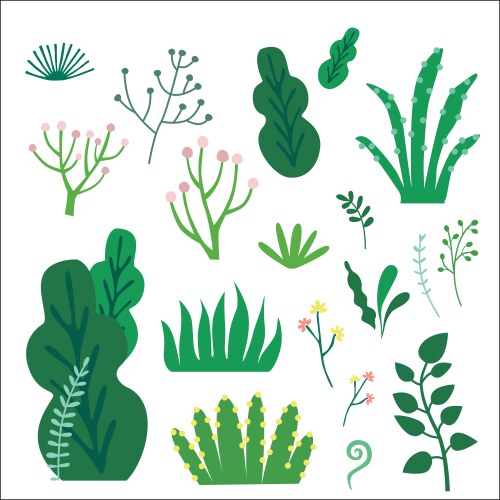 Diagram showing process photosynthesis in plant Vector Image