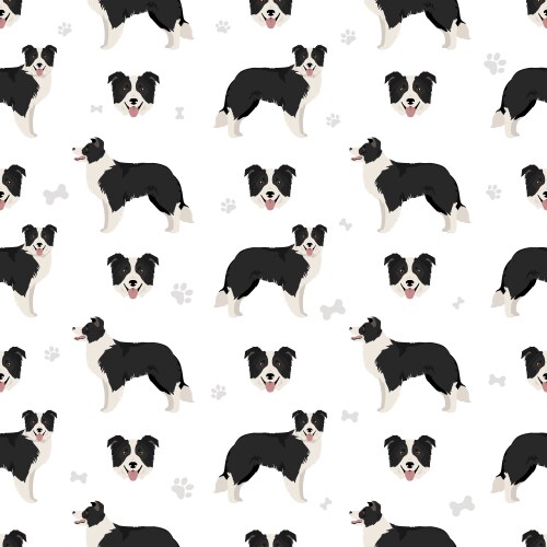 Border Collie Vector Images (over 1,700)