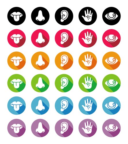 5 Senses Vector Images (over 800)