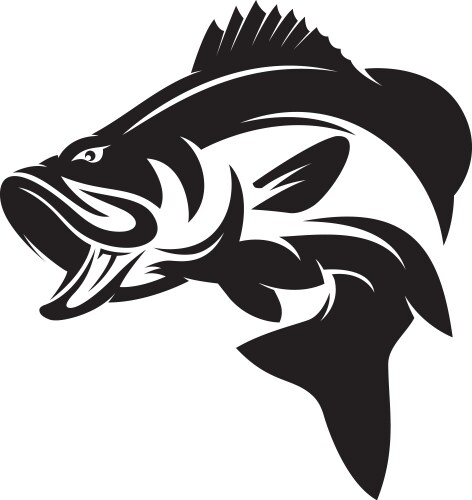 Bass Vector Images & Graphics for Commercial Use | VectorStock