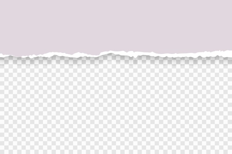 Torn a half sheet of transparent paper Royalty Free Vector