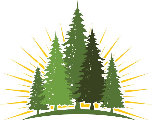 Cedar Vector Images (over 10,000)