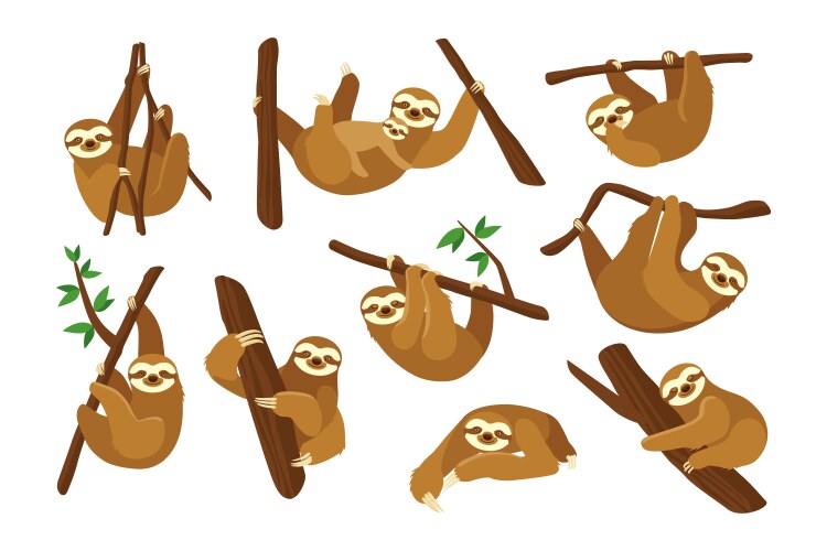 Sloth Vector Images (over 10,000)
