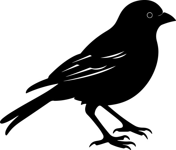 Finch silhouette white background Royalty Free Vector Image