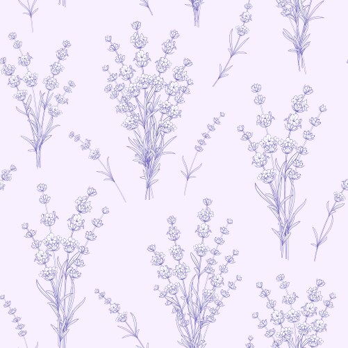 Lavender flower background Royalty Free Vector Image