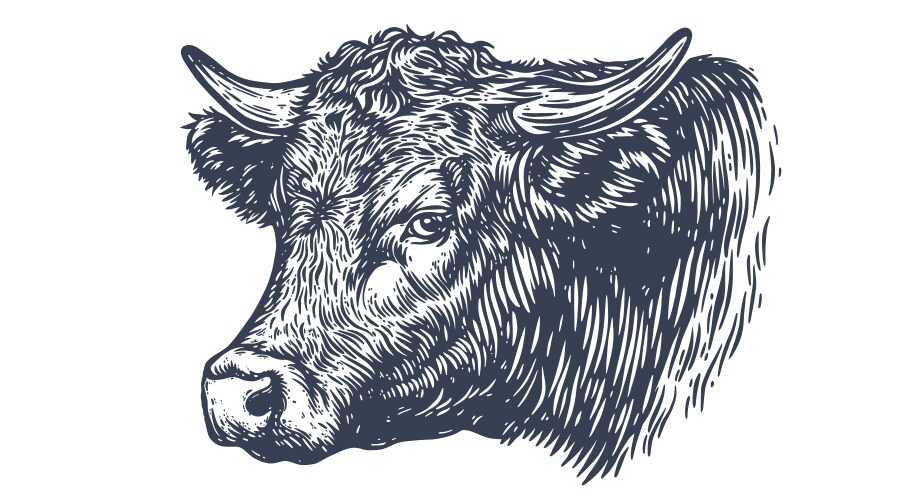 Bull Vector Images (over 84,000)