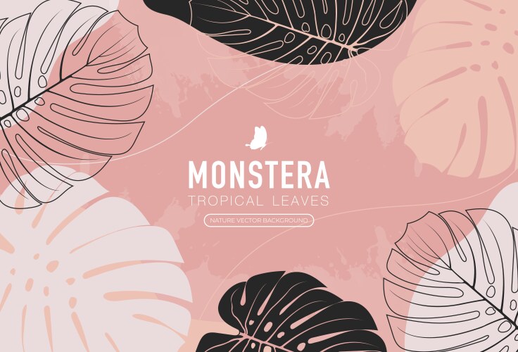 Monstera Border Vector Images (over 3,000)