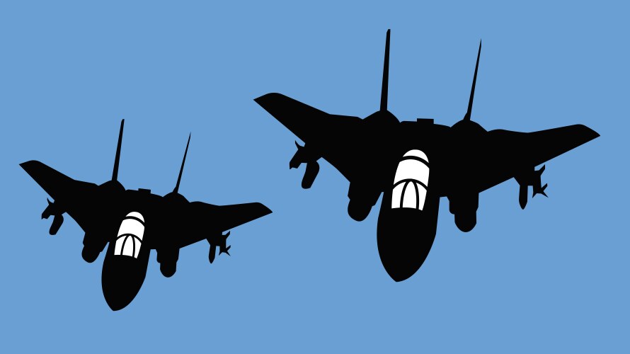 F14 tomcat outline jet fighter Royalty Free Vector Image