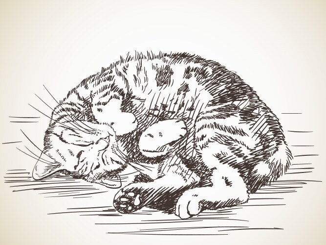 Curled Up Cat Vector Images (over 210)