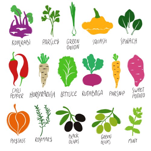 Vegetables set Royalty Free Vector Image - VectorStock
