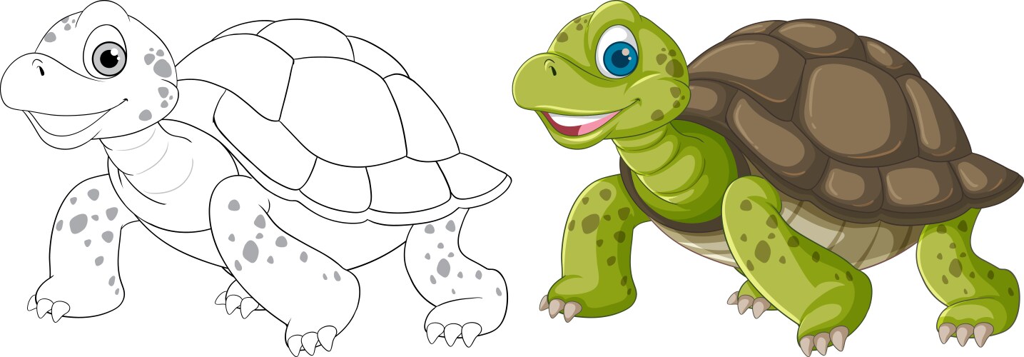 Turtle Cartoon Drawing Vector Images (over 7,300)
