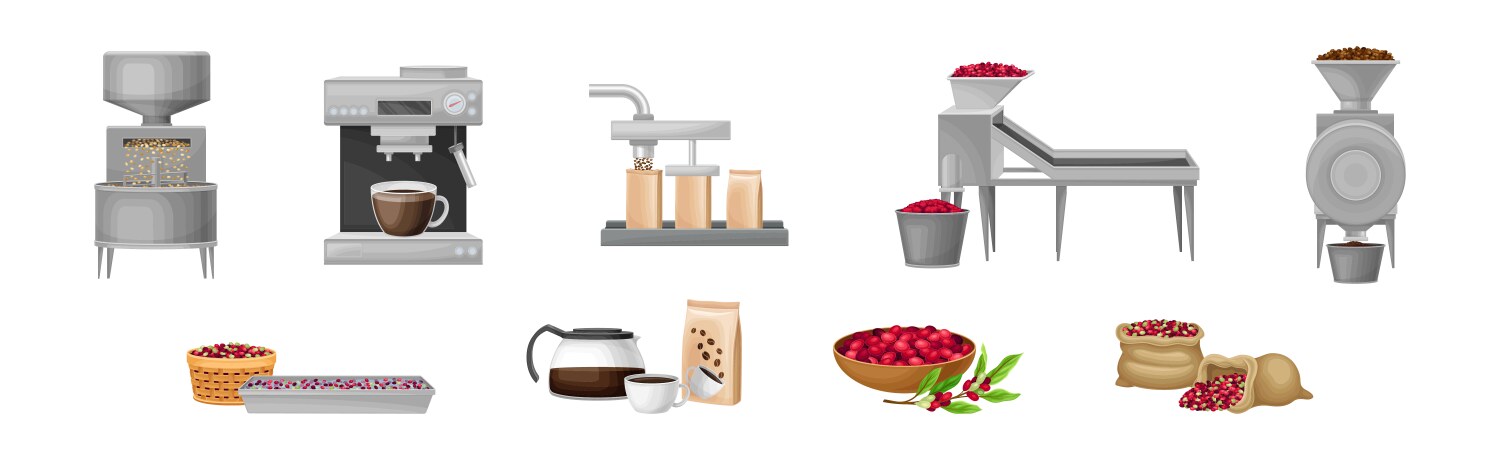 Coffee industry production stages and process Vector Image