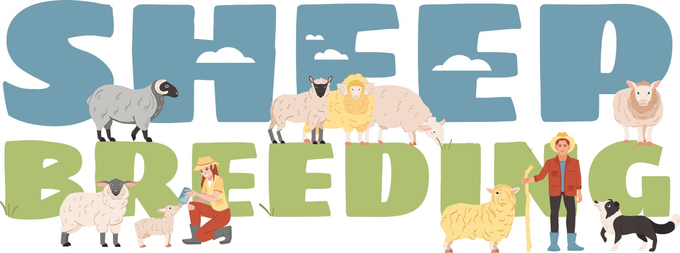 Sheep breeding flat banners Royalty Free Vector Image
