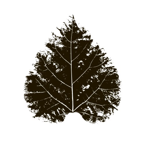 Leaf Print Vector Images (over 310,000)