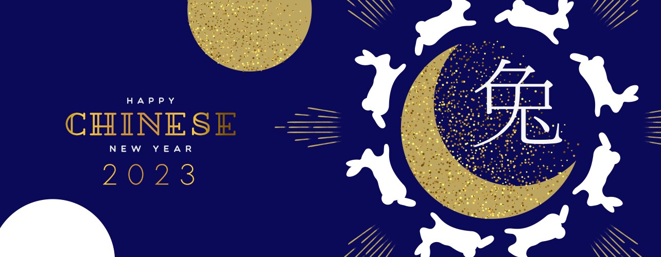Chinese new year rabbit 2023 asian outline Vector Image